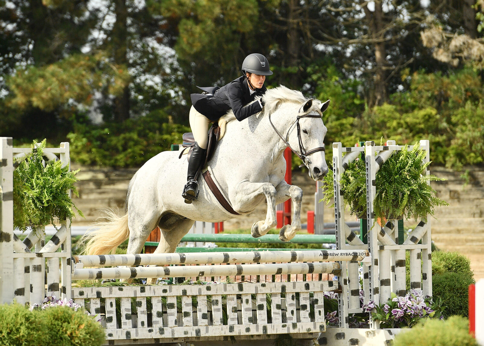 Training – Integrity Farm