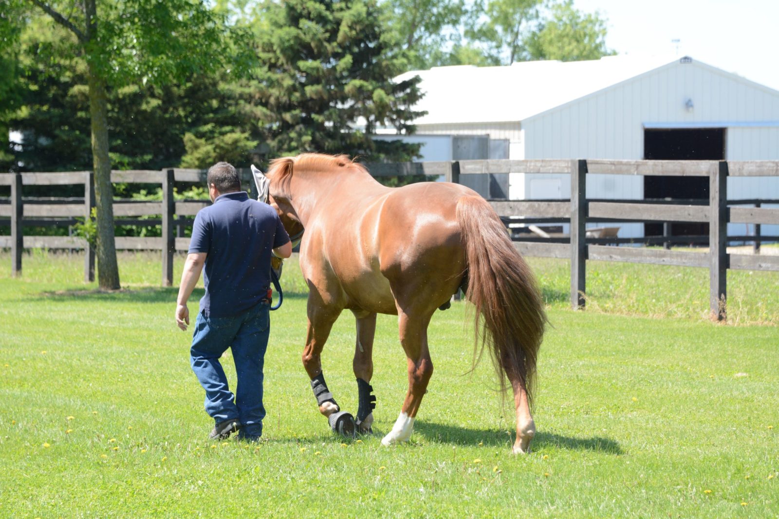 Facilities – Integrity Farm