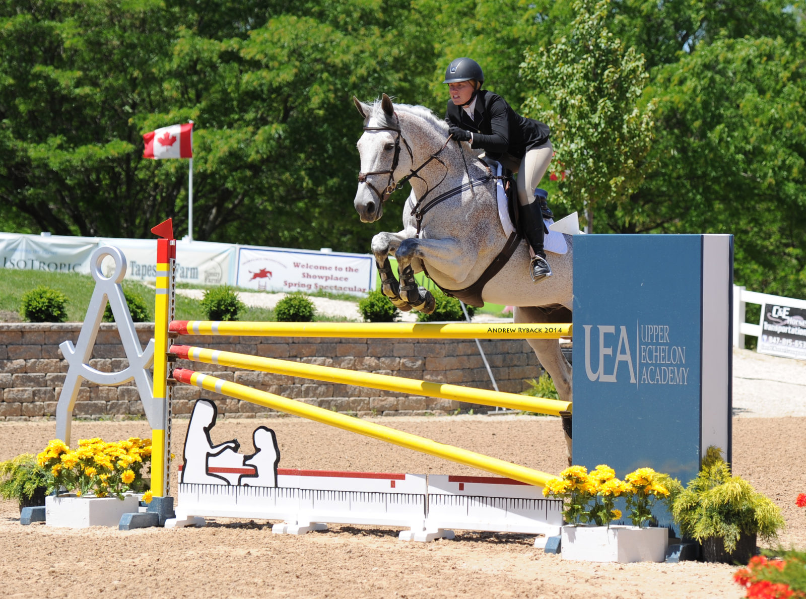 Training – Integrity Farm