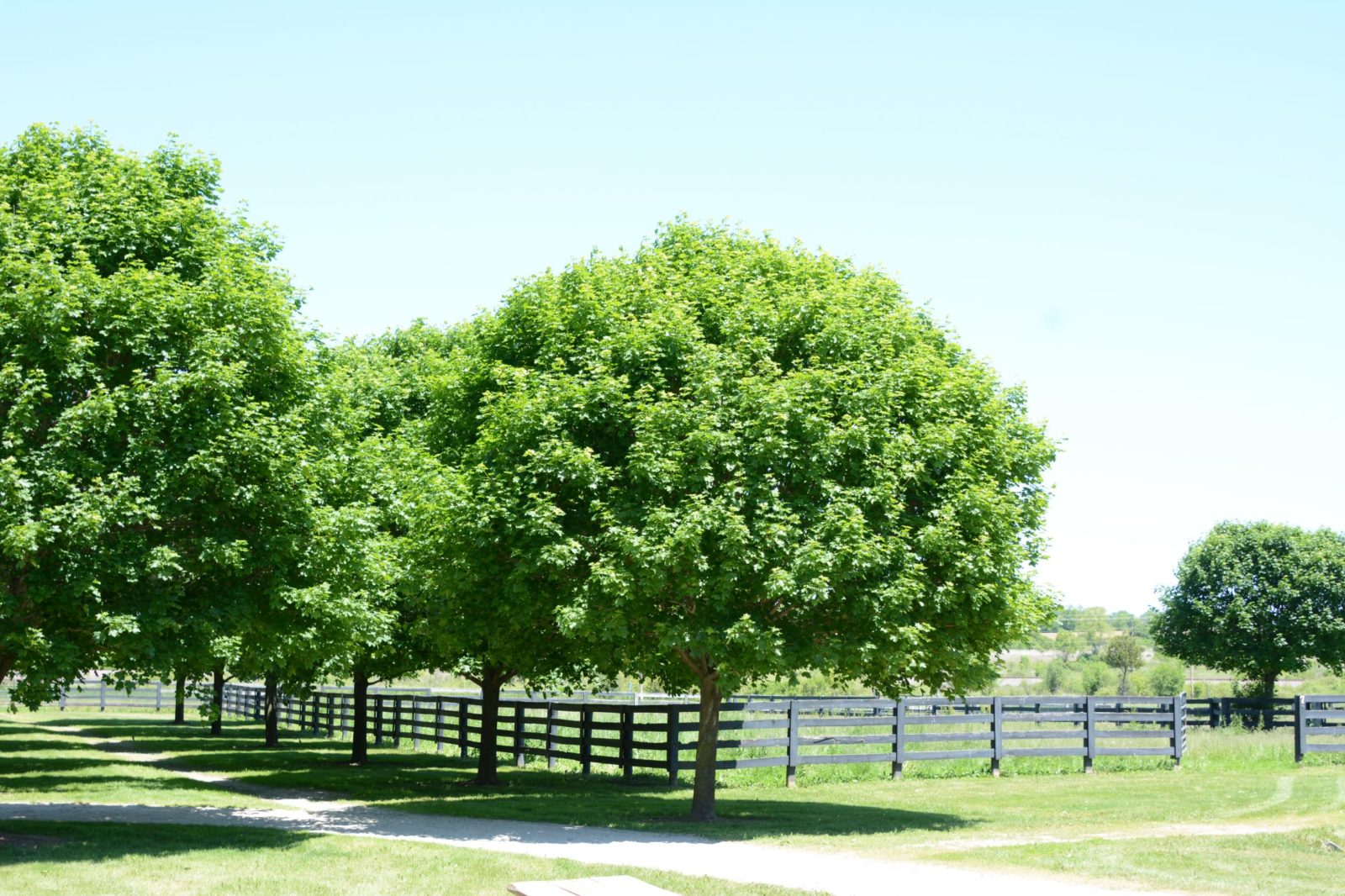 Facilities – Integrity Farm