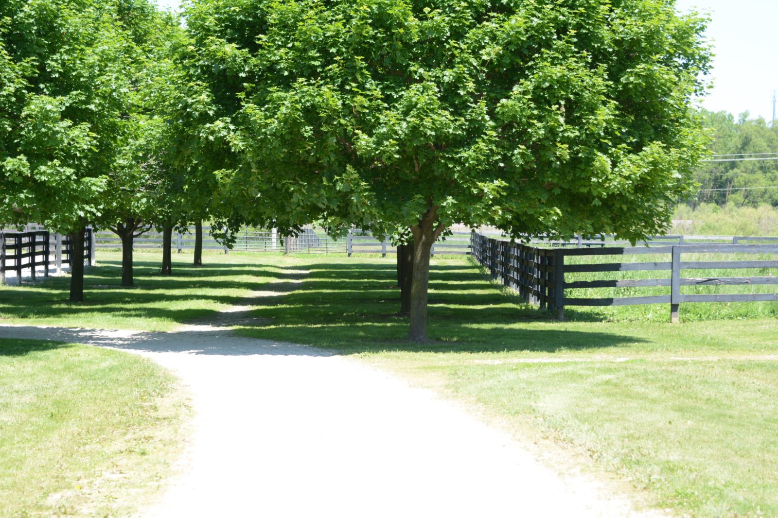 Facilities – Integrity Farm