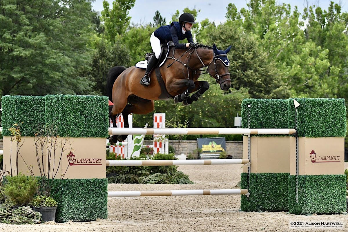 Training – Integrity Farm